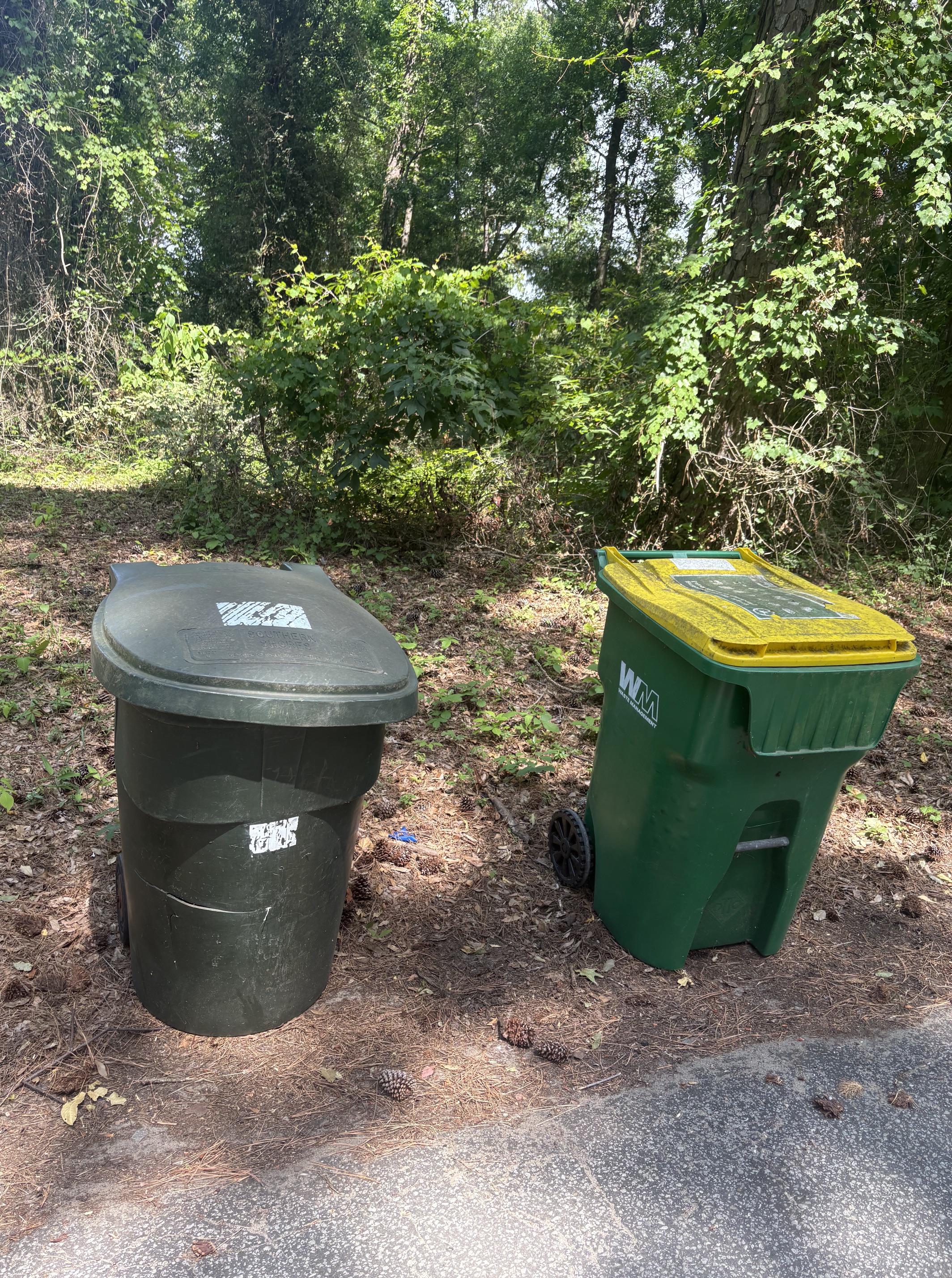 6/11/26: ‘IN SEASON’ FRIDAY TRASH PICKUPS HAVE STARTED, FOLKS; PLANNING ...